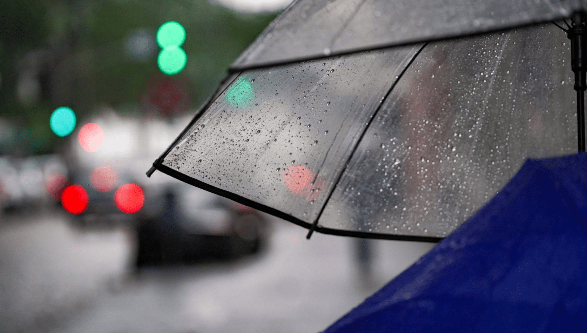 Qual é a previsão do tempo para Florianópolis nesta semana? - Floripa.com